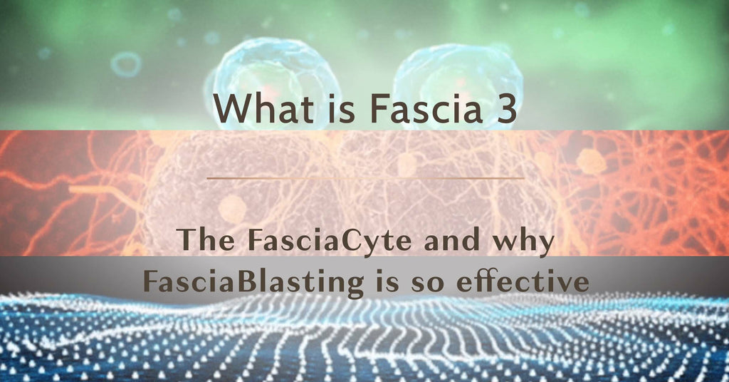 What is Fascia 3
