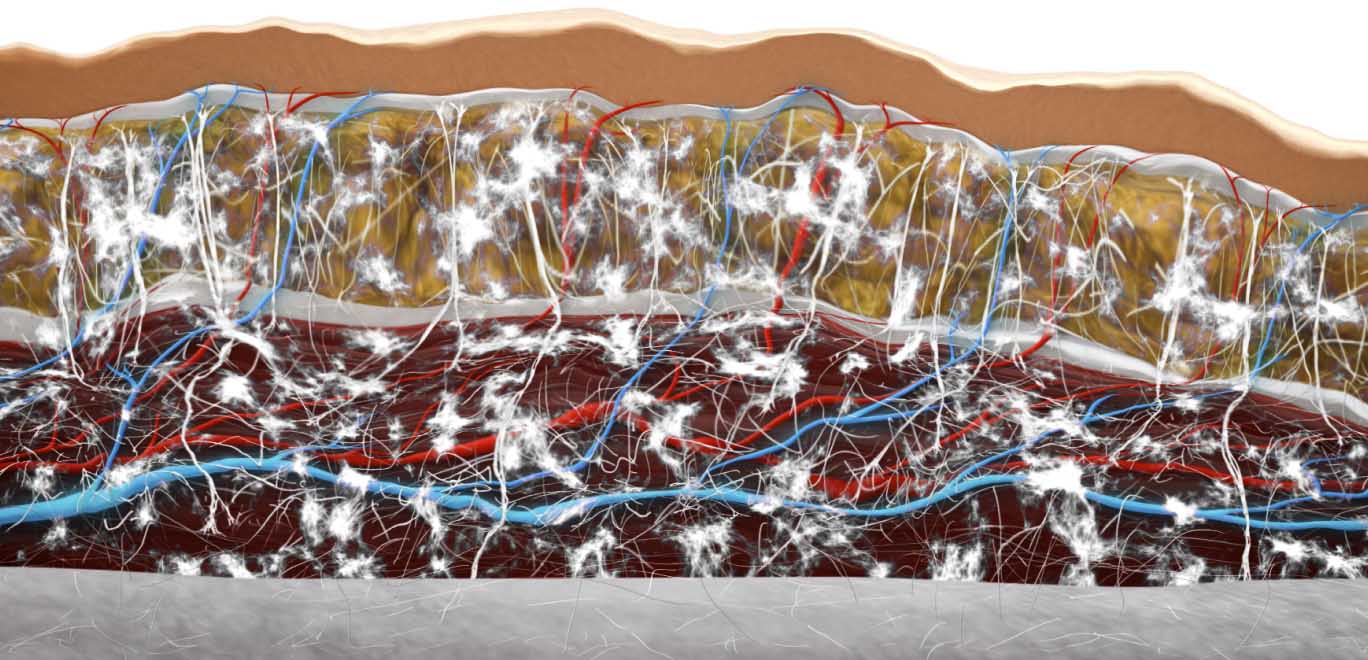 Gorgeous Legs Challenge Part 1