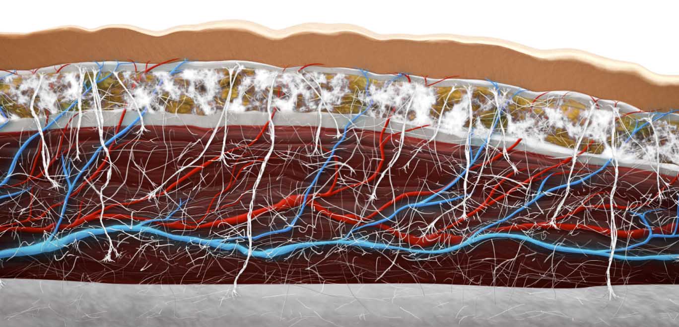 Gorgeous Legs Challenge Part 1