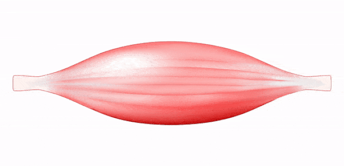 Gorgeous Legs Challenge Part 1