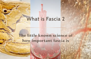 What is Fascia 4