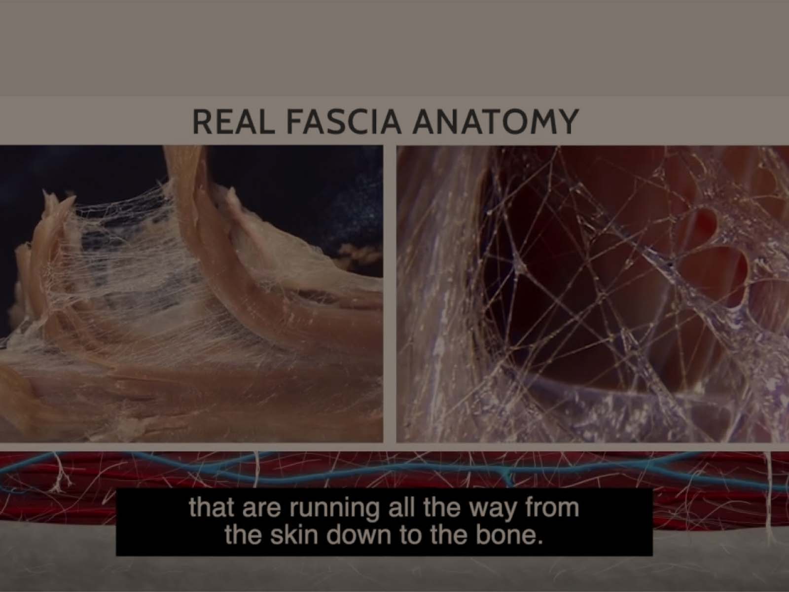 Scientifically Proven Method