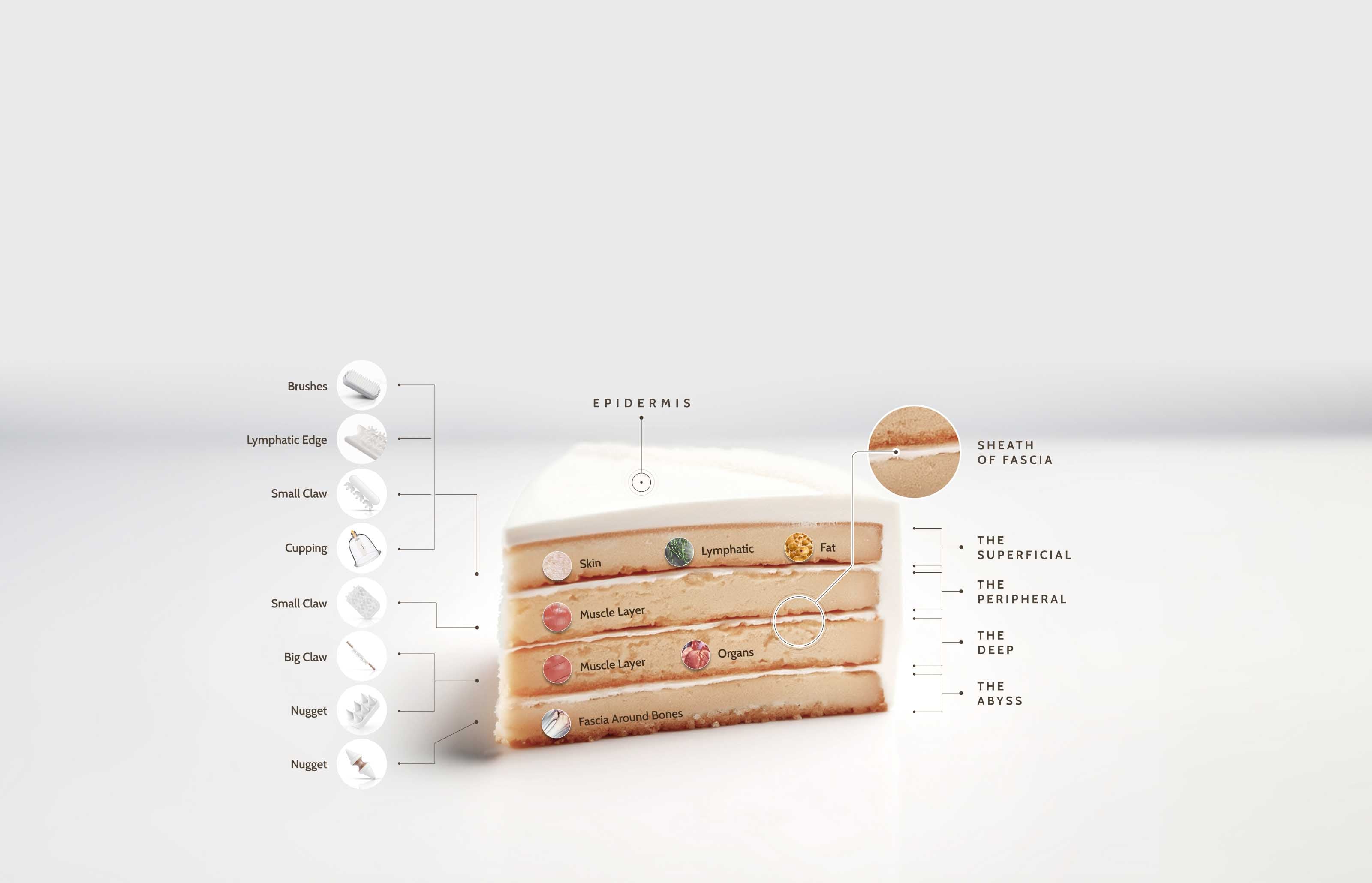 Fascia & Pain Relief: Everything You Need to Know