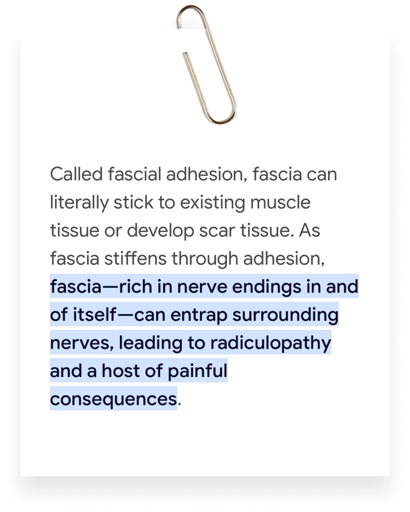Fascia & Pain Relief: Everything You Need to Know