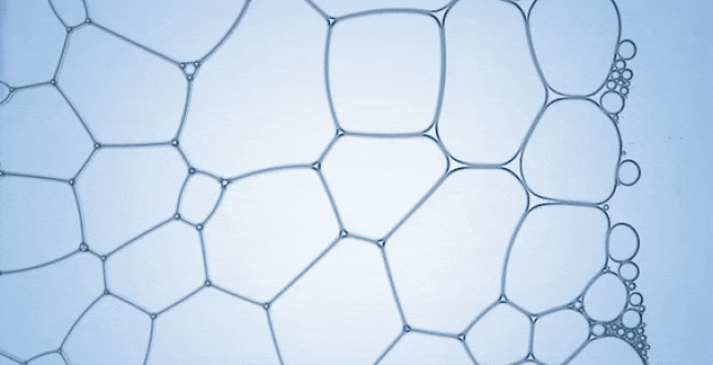 What is Fascia 3