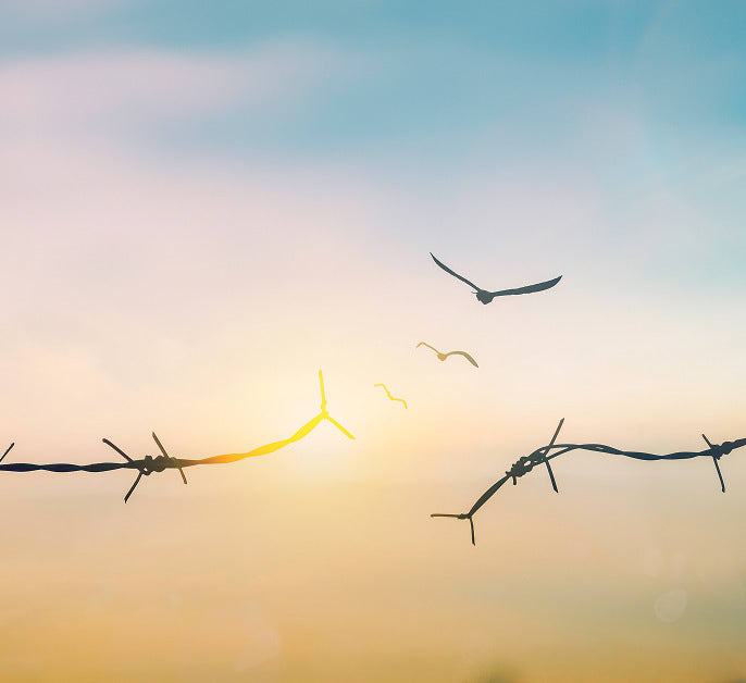 The Role of Fascia in Mental Wellness: Stress and Self-Care