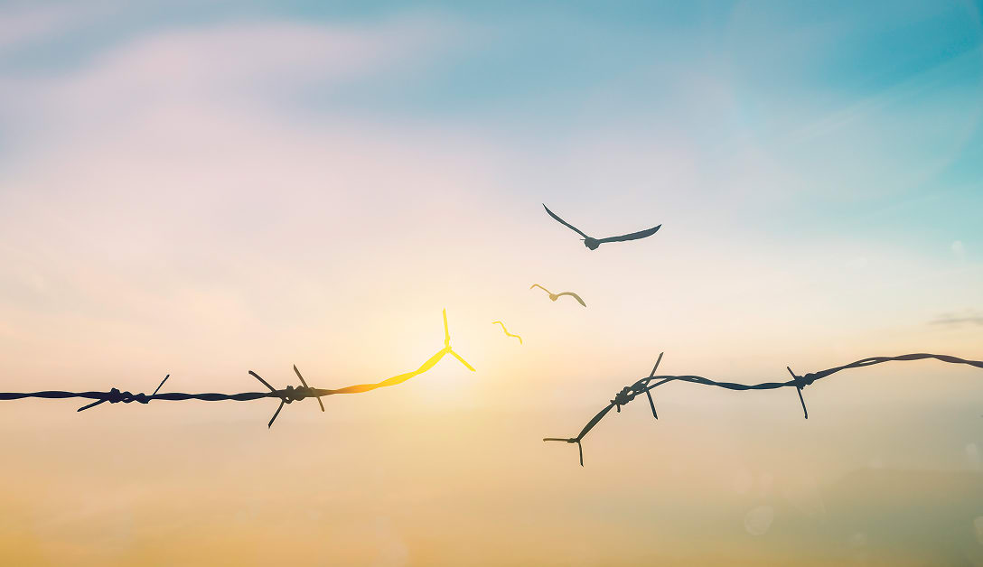 The Role of Fascia in Mental Wellness: Stress and Self-Care